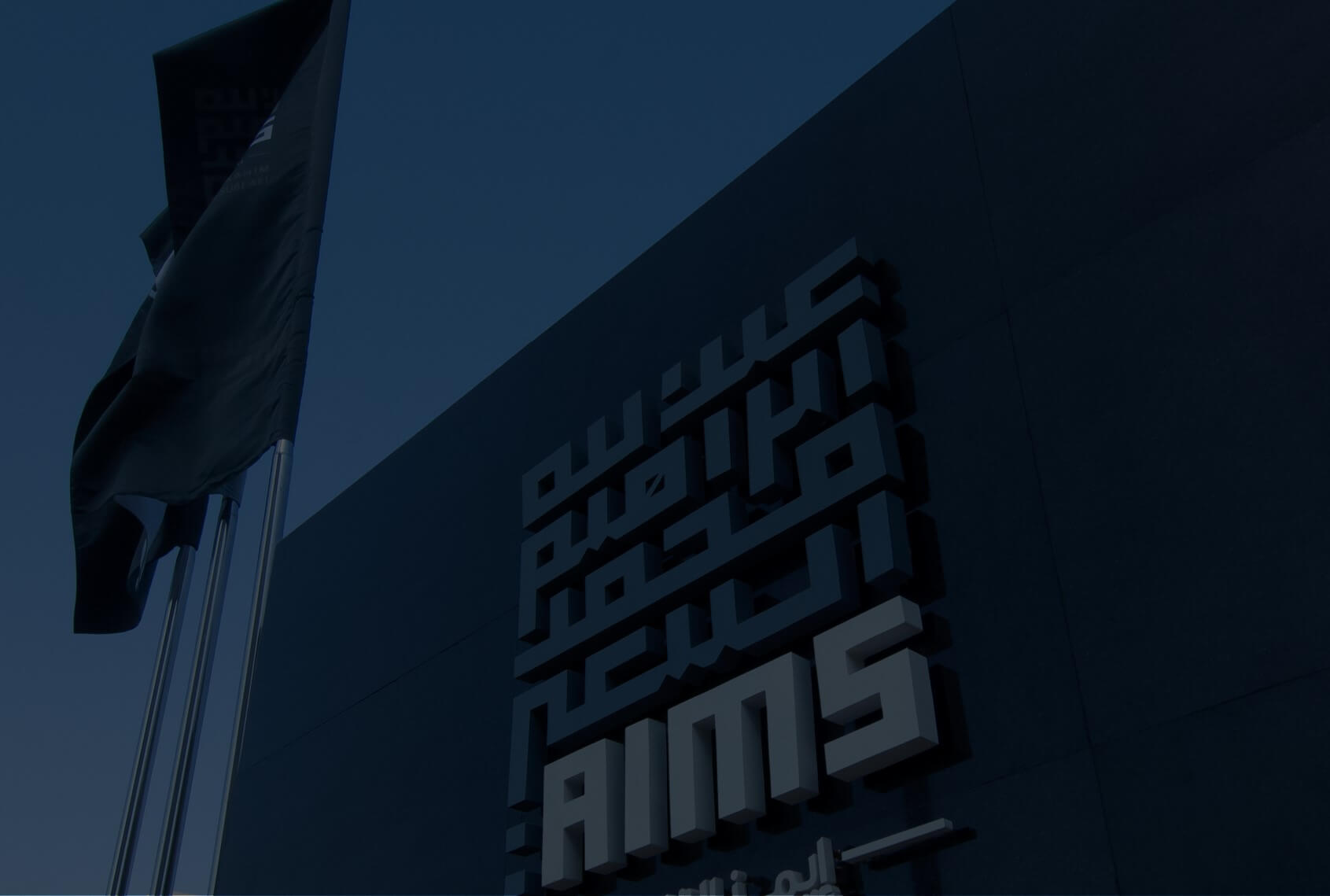 انضم إلينا - Aims